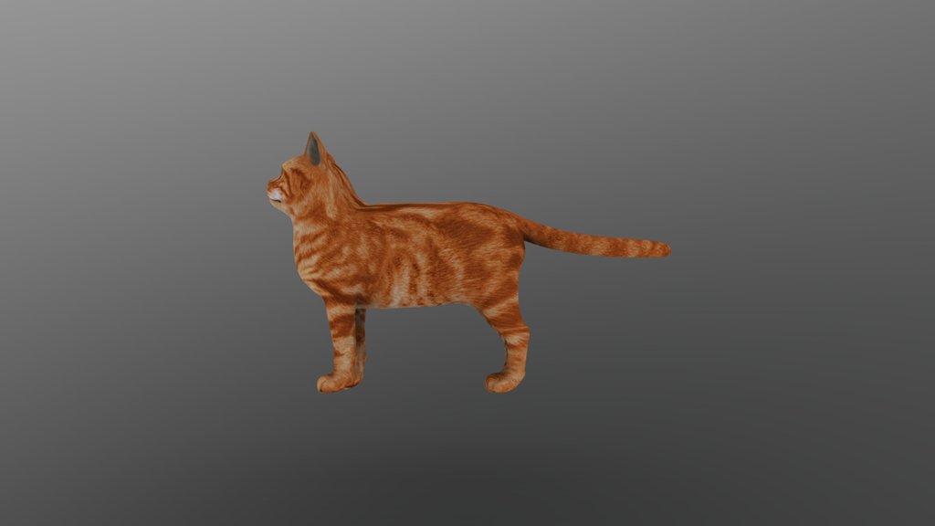 kitten downloads - A 3D model collection by hallabunga - Sketchfab