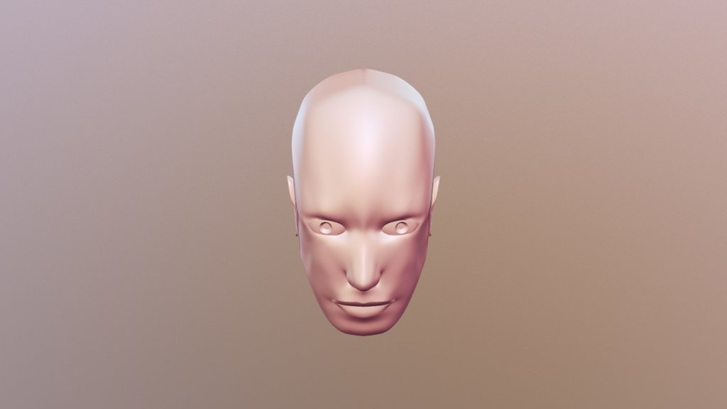 Face of my Friend - 3D model by point88 [3e80722] - Sketchfab