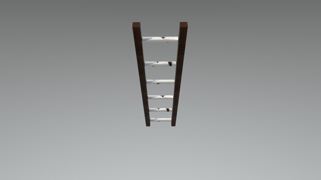 Ladder - 3D model by Thaddeus [3e85cd8] - Sketchfab
