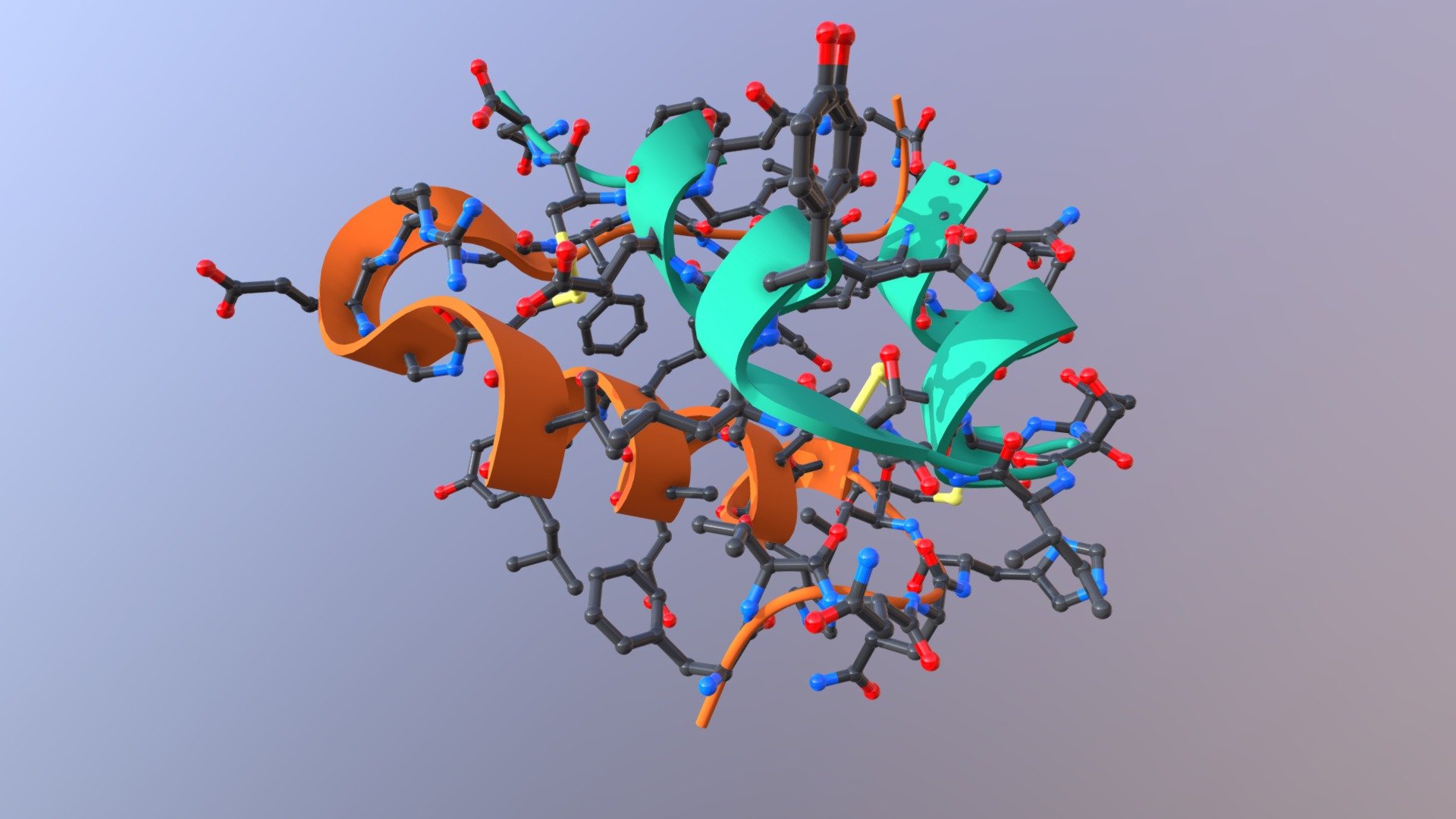 inzulin - Download Free 3D model by e-sfera (@skolskaknjiga) [3e8ce47 ...