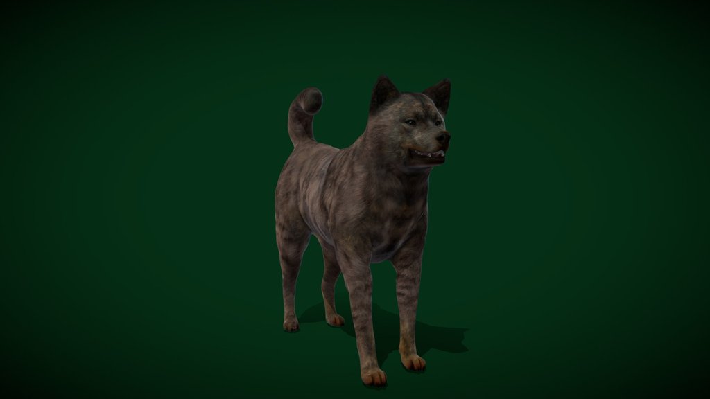 Dogs Breeds - A 3D model collection by Nyilonelycompany - Sketchfab