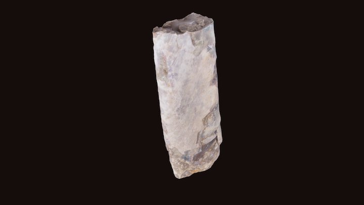 Baculites 3D models - Sketchfab