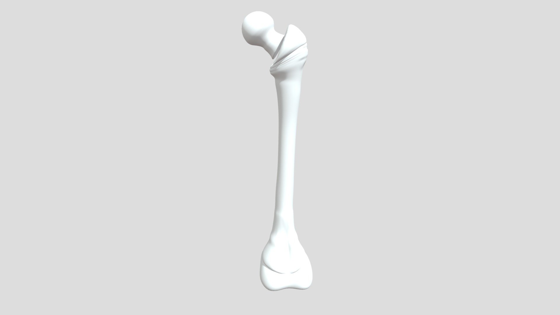 3D Model of Femur - 3D model by Sajibsagor (@ananyasagor) [3e9ef8a ...