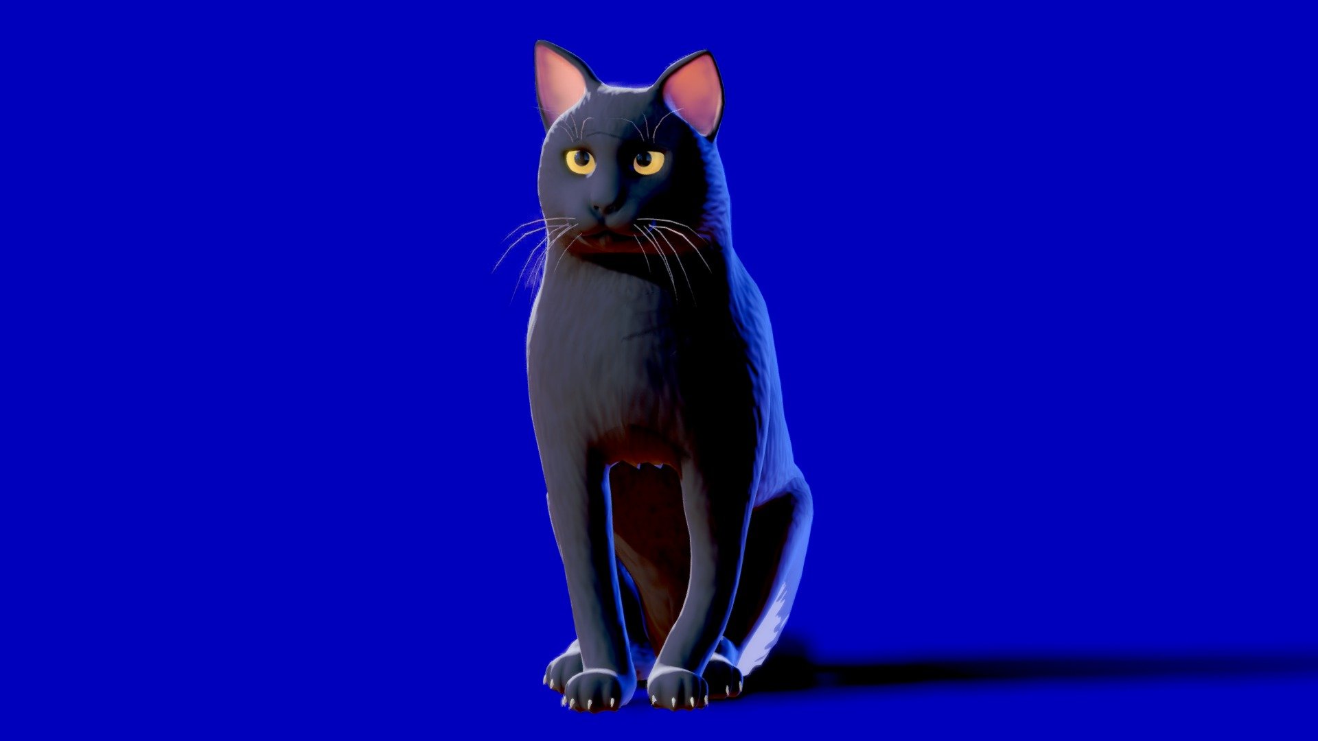 Low poly - Stylized cats - Bombay Cat - Buy Royalty Free 3D model by ...