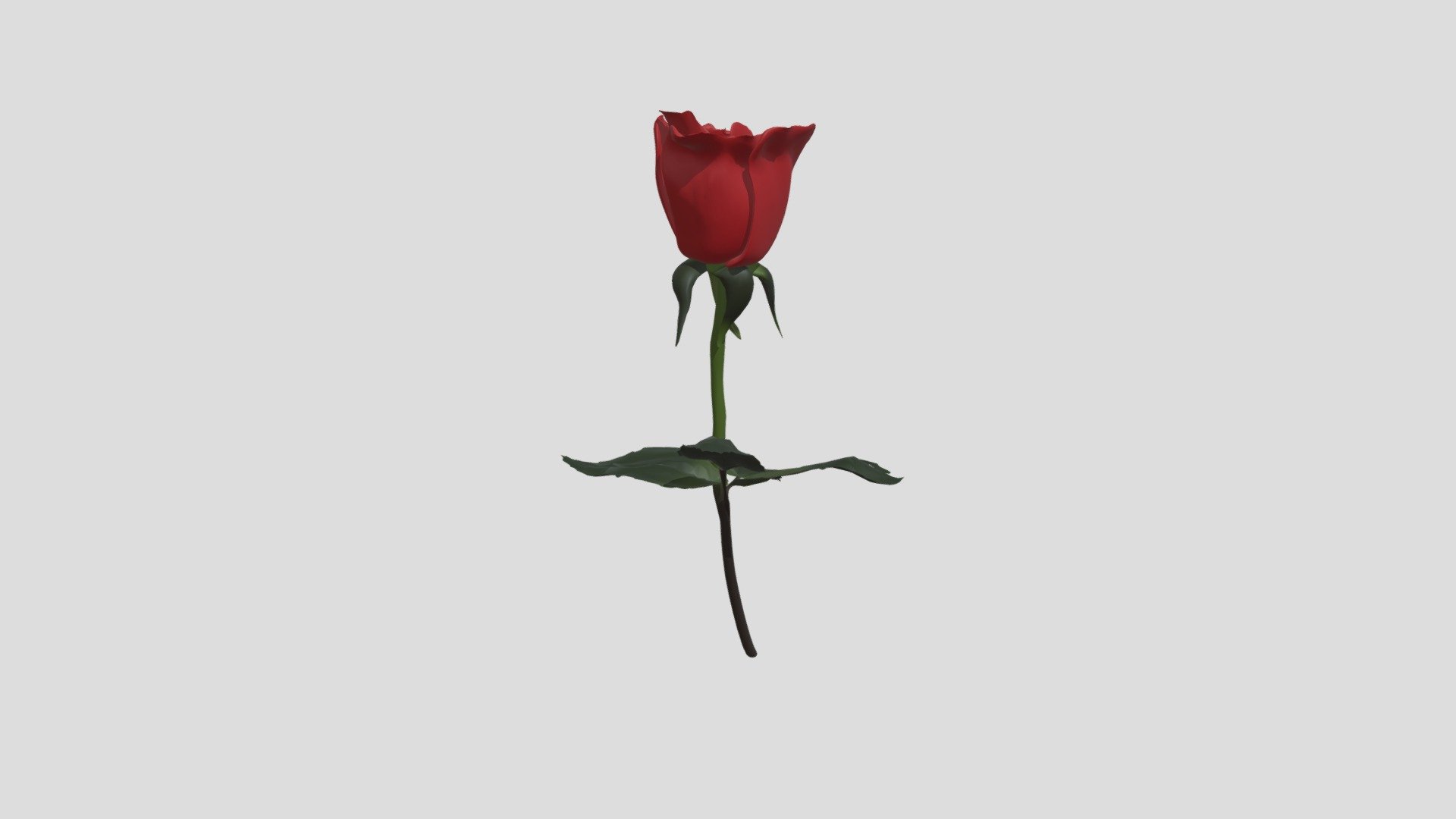 Project Rose - 3D model by Nataly (@ncarc175) [3eae1c2] - Sketchfab