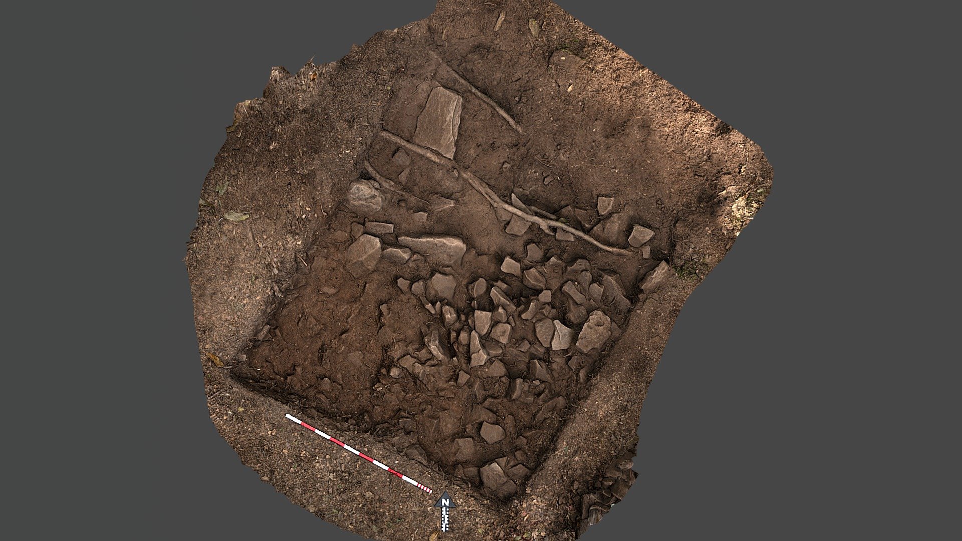 Buckholt-GC-TR-2-041024 - Download Free 3D model by Adam-Stanford ...