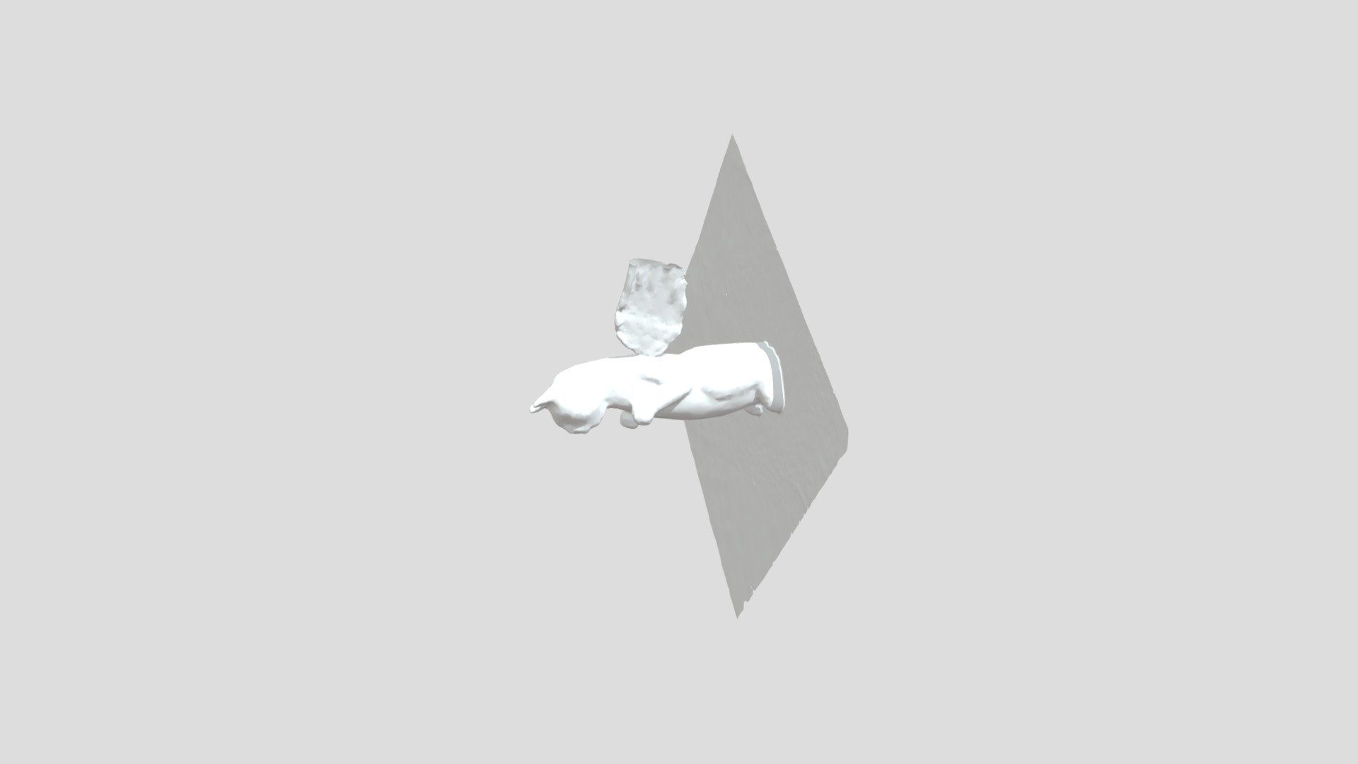 One Winged Cat - Download Free 3D model by nickirwin03 [3eba214 ...