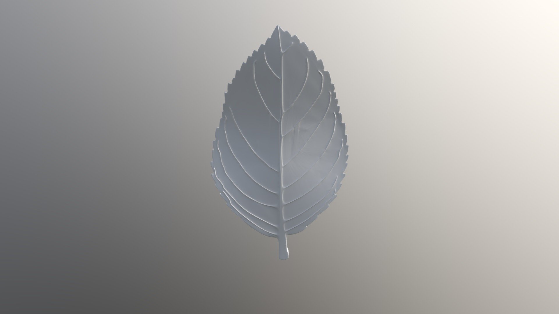 Leaf - 3D model by Sean_McCarty_ [3ebbaab] - Sketchfab