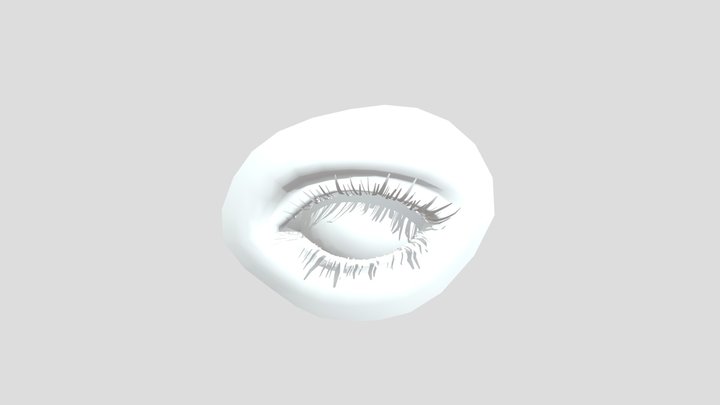 Lashes 3D models - Sketchfab