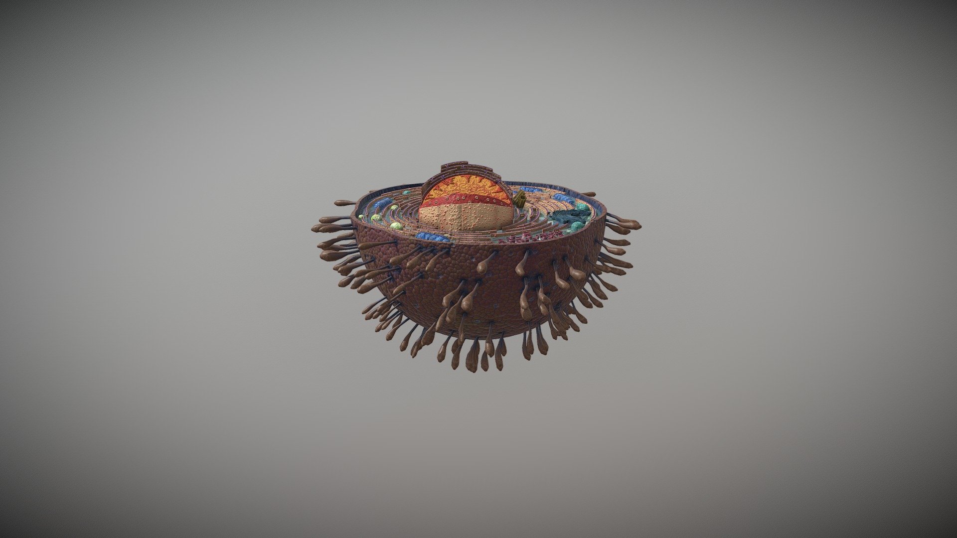 Cytoplasm - Cell Organelles - 3D model by Vida Systems (@objects1 ...