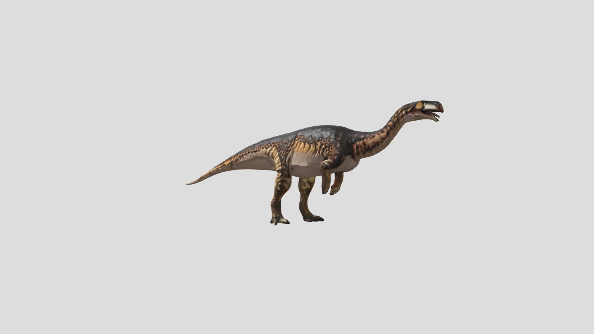 Plateosaurus Gracilis - Download Free 3D model by Allosaurus28YT ...