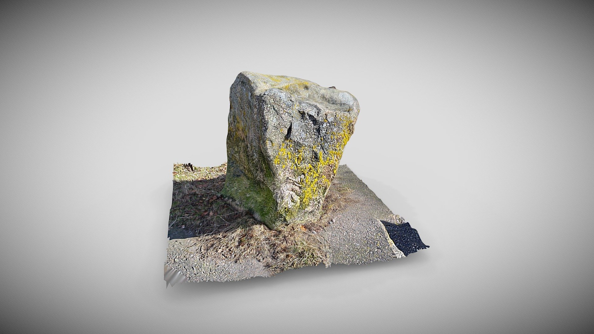 Stone 3d scan - Download Free 3D model by Hullken [3ede11b] - Sketchfab