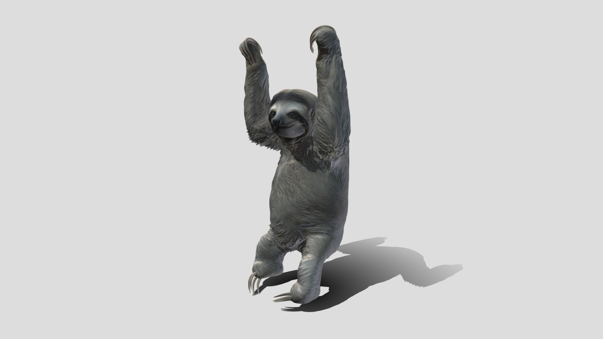 Sloth with Arms Raised - Download Free 3D model by iRahulRajput ...