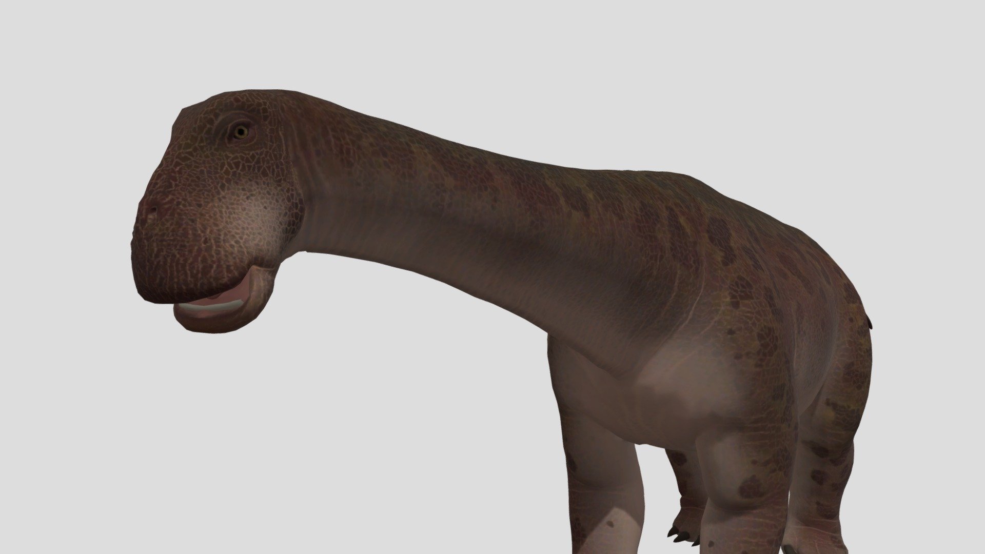 Nigersaurus - Download Free 3D model by Tim (@TimFallas) [3eec5db] - Sketchfab