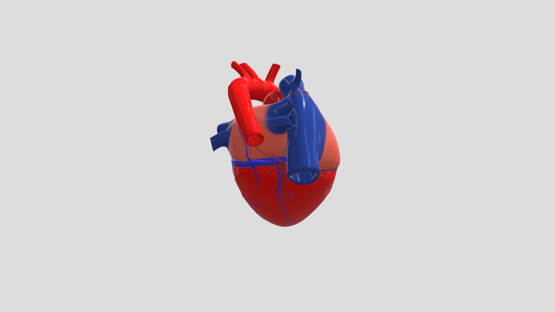 Human heart - Buy Royalty Free 3D model by mosa-azazmah (@mosaazazmah ...