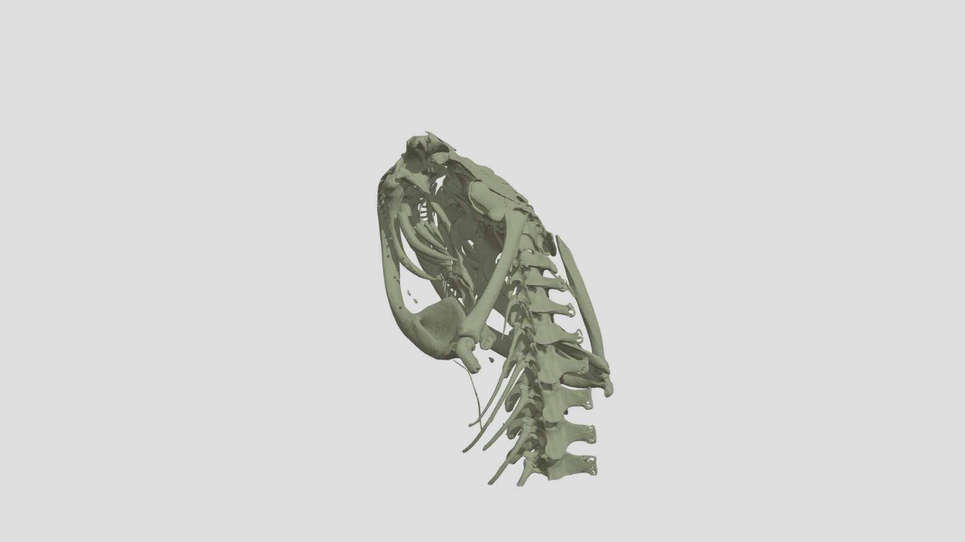 model_zip - 3D model by teddylab [3ef3b87] - Sketchfab
