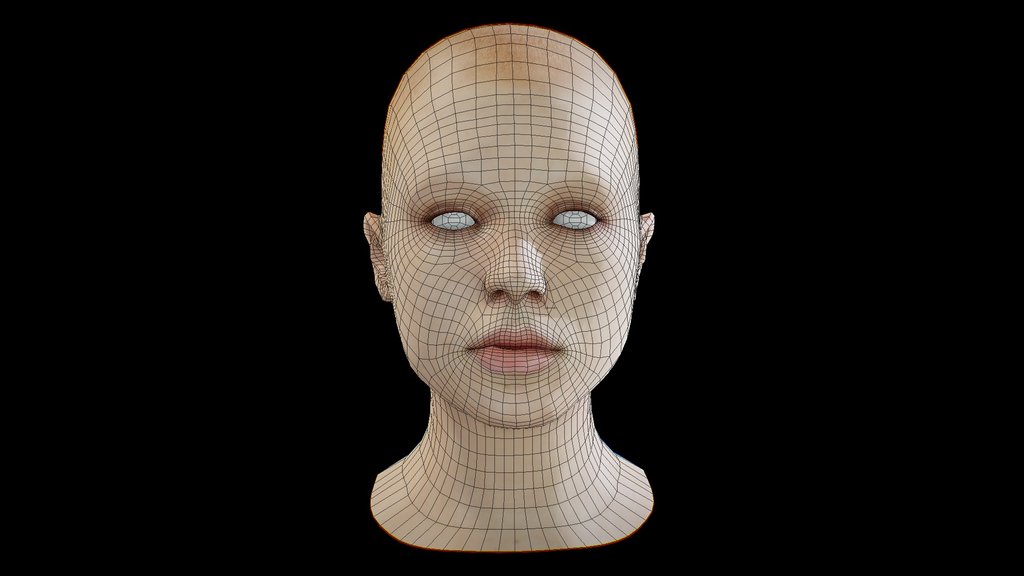 Base Meshes for Edu - A 3D model collection by homemade-vfx - Sketchfab