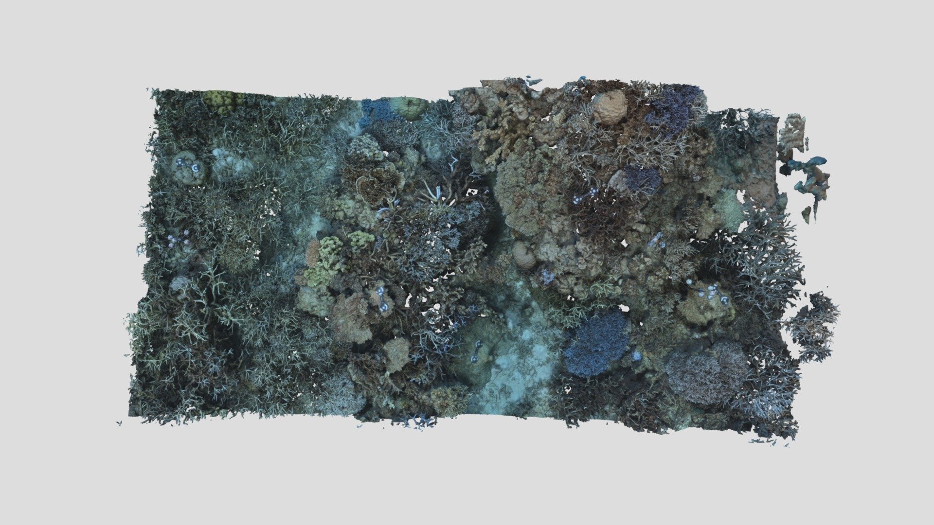 Davies_LA1S_P2_202201 - 3D model by EcoRRAP (@AIMSEcoRRAP) [3f01894 ...