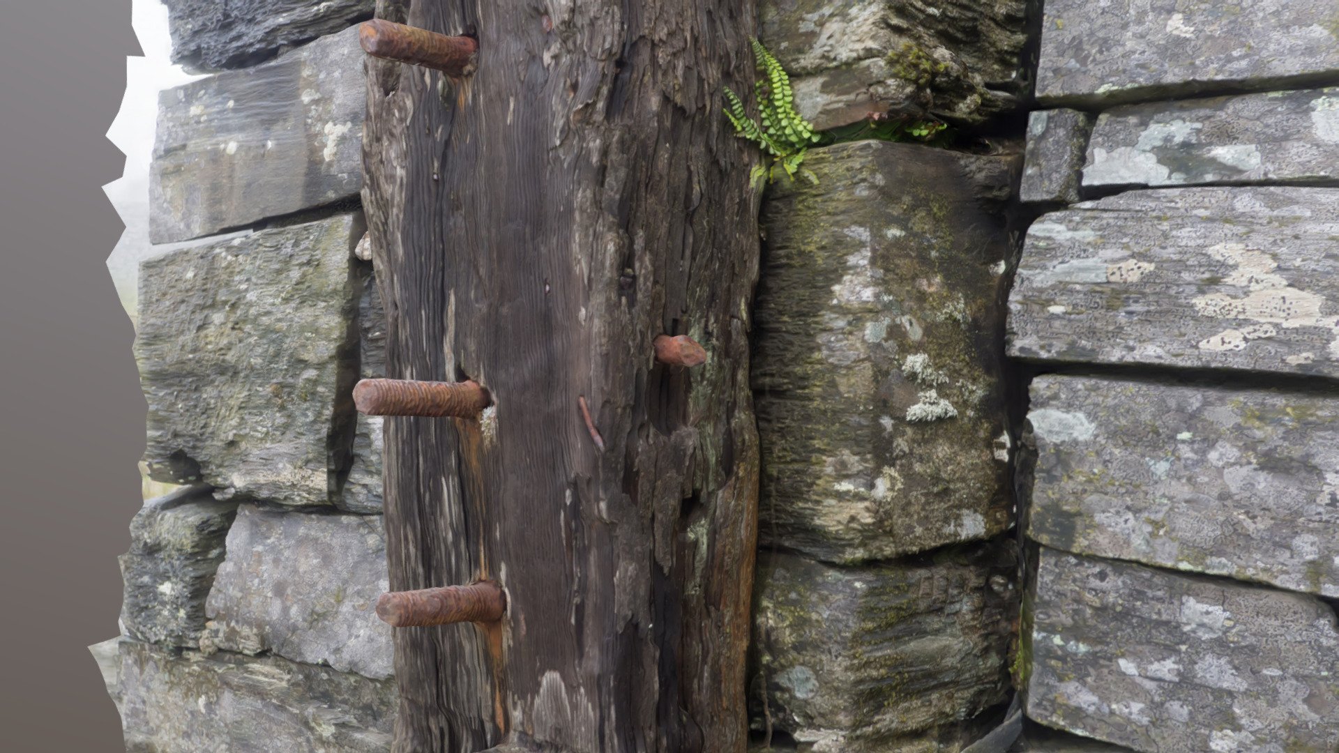 Quarry Wood And Bolts Scan - Download Free 3D model by CommonSpence ...