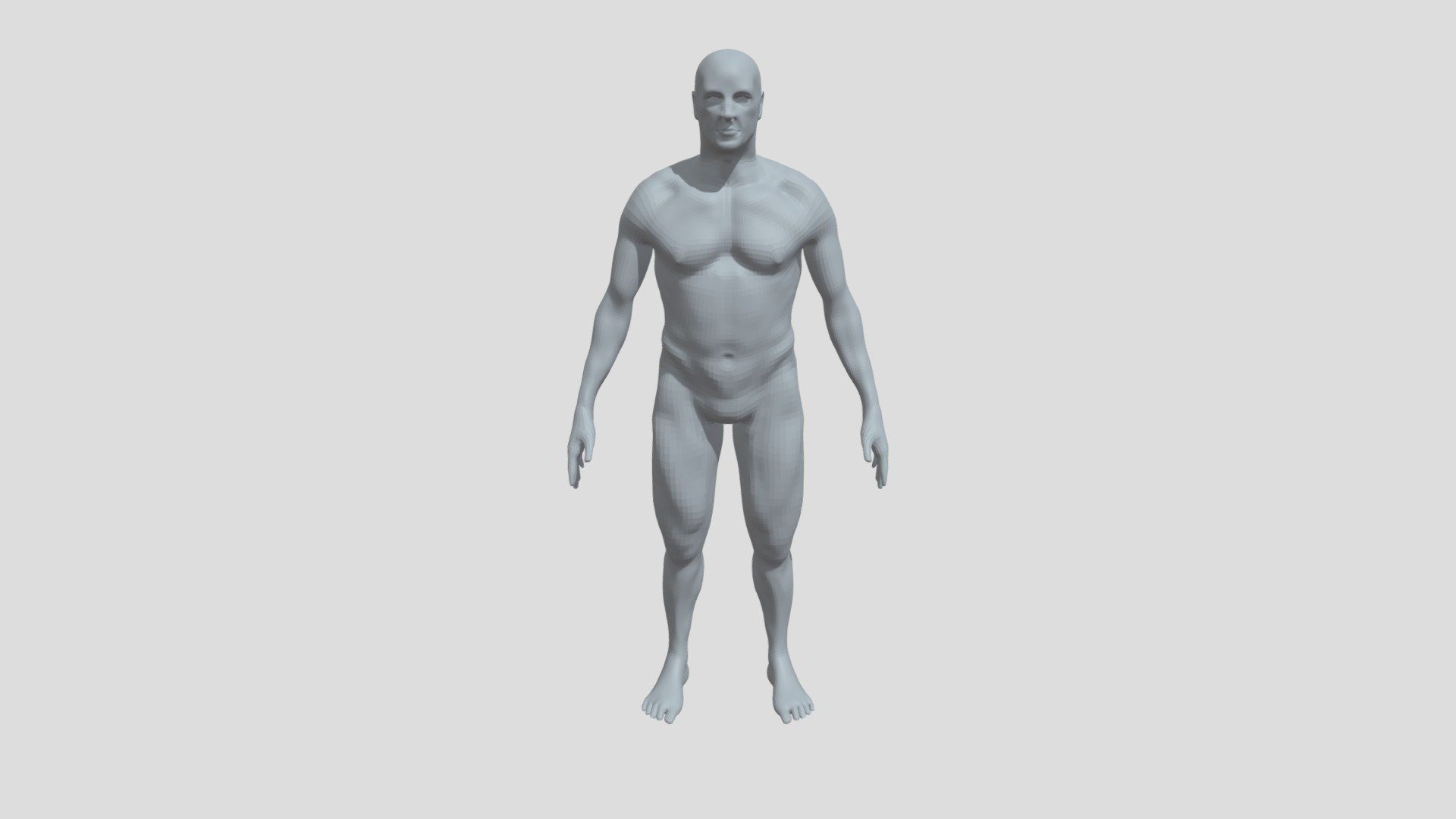 Human Anatomy Study Project - 3D model by Natalia Fernández Henche (@natalia.fdezh) [3f04c3c ...