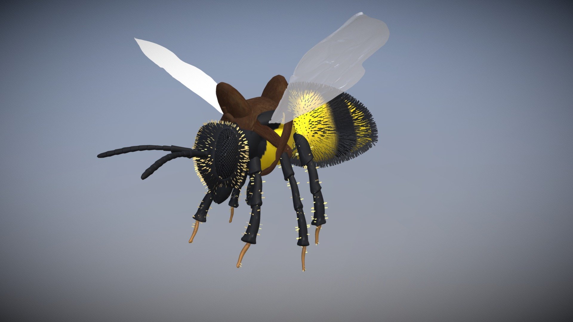 Bee Pet - Senior Project - 3D model by np (@avoidatallcosts) [3f0a3e0 ...