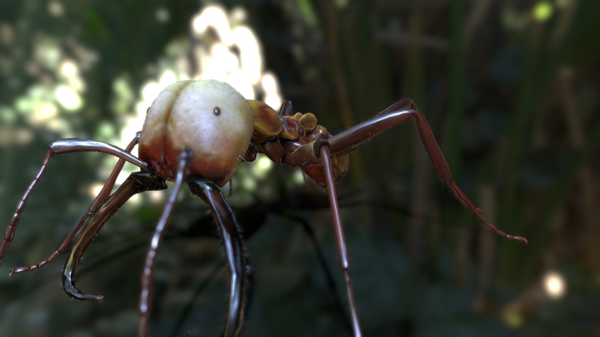 Ecitoninae sensu lato - Buy Royalty Free 3D model by Boycraft [3f0d276 ...