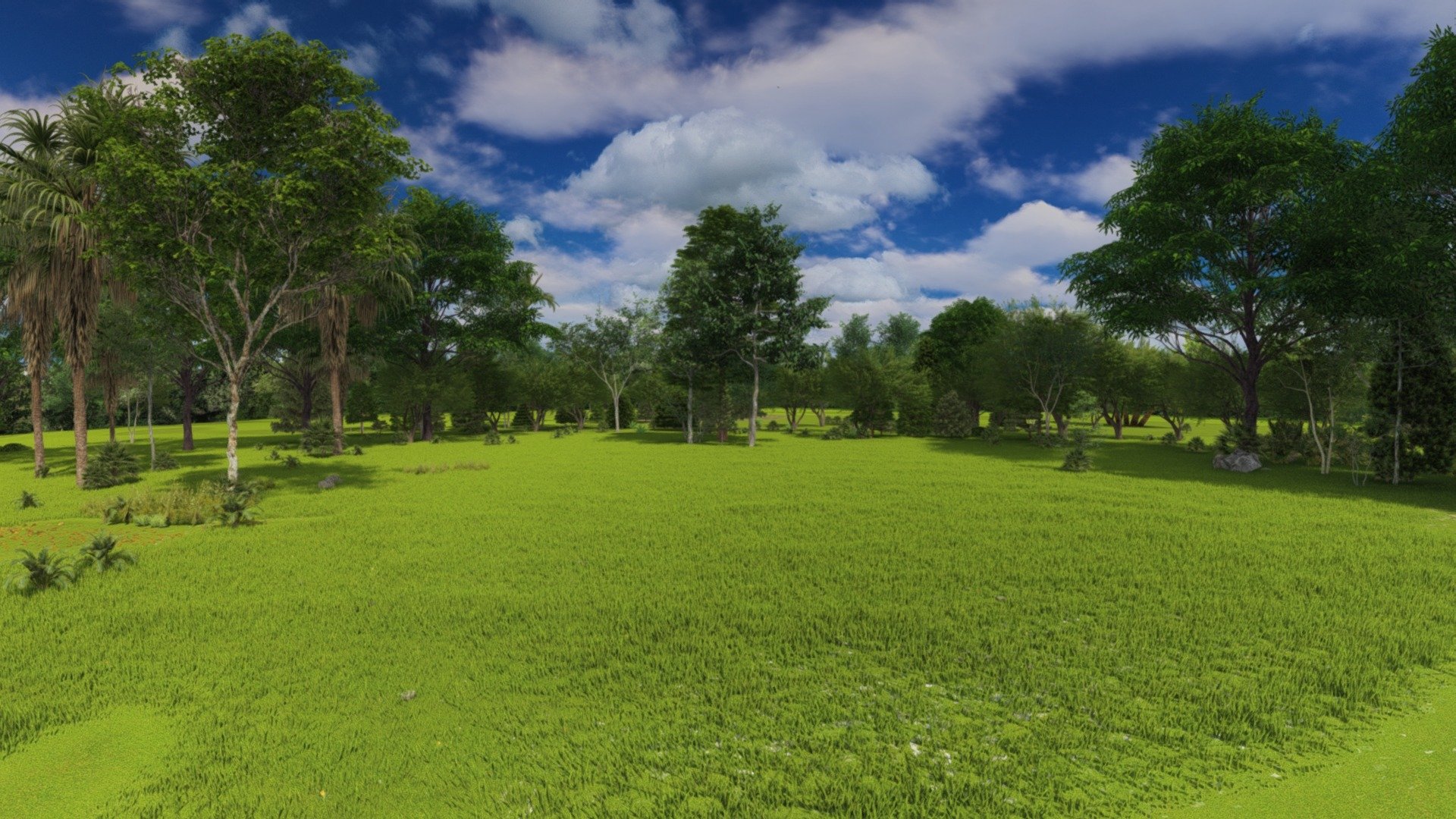 HDRI - SKY BOX 8K - SUNNY NOON MEADOW FIELD - Buy Royalty Free 3D model ...