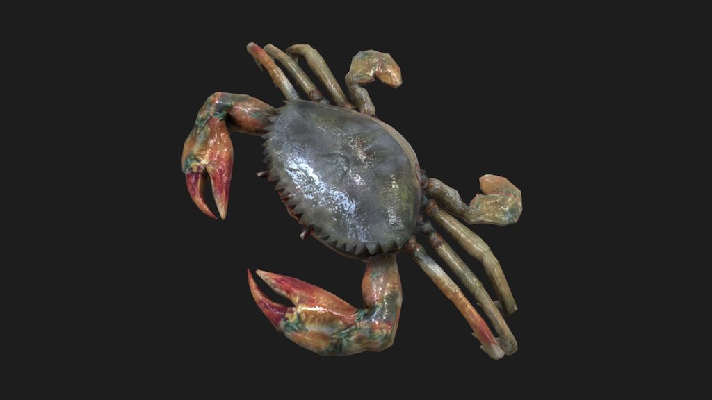 Crab - 3D model by PinkCloud Studio (@pinkcloudstudio) [3f0f799 ...