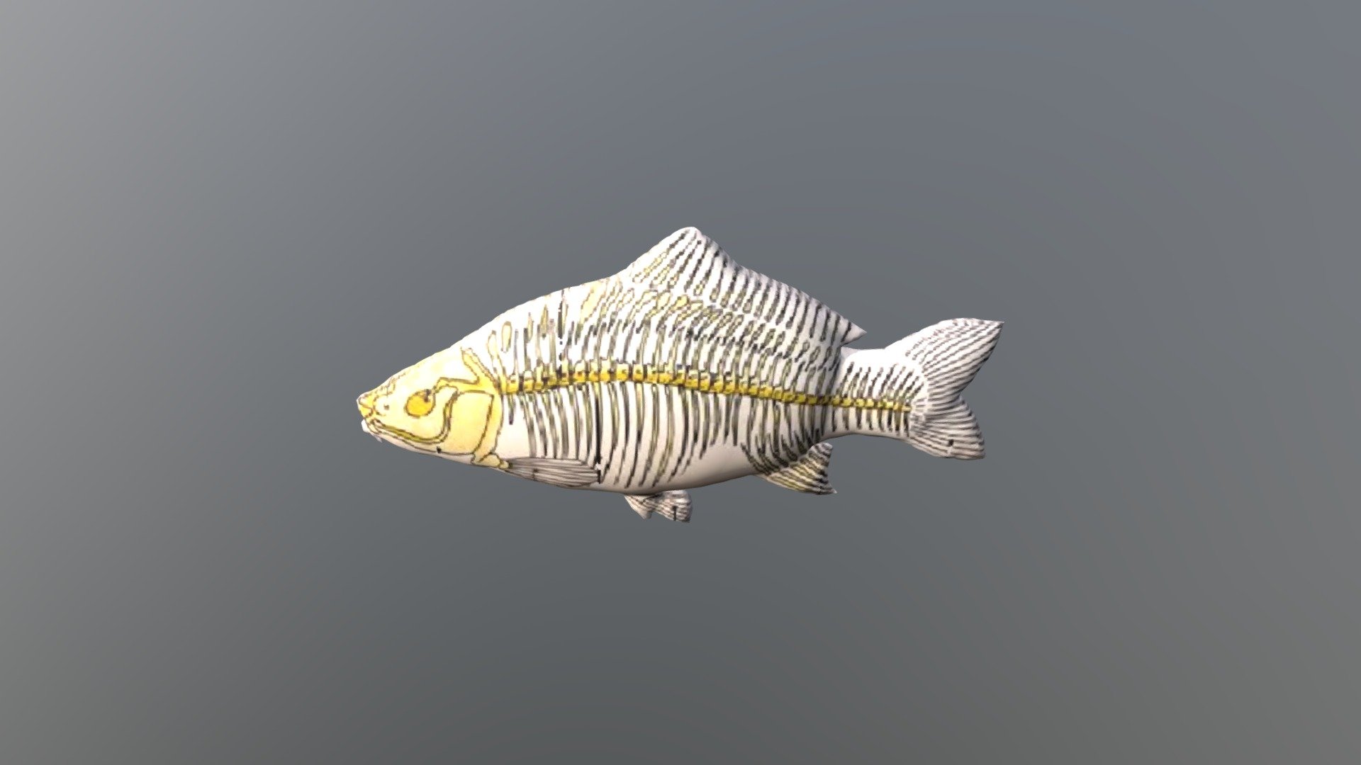 Rangka Ikan - Download Free 3D model by hasradi [3f13a02] - Sketchfab