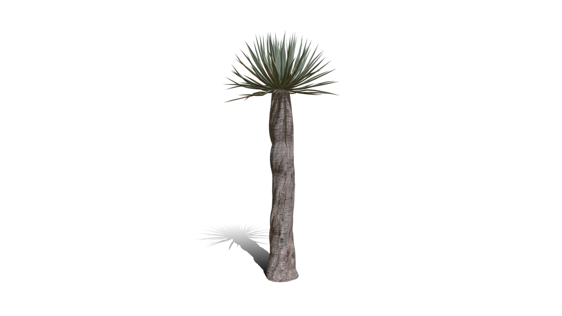Realistic HD Dragon tree (37/50) - Download Free 3D model by ...