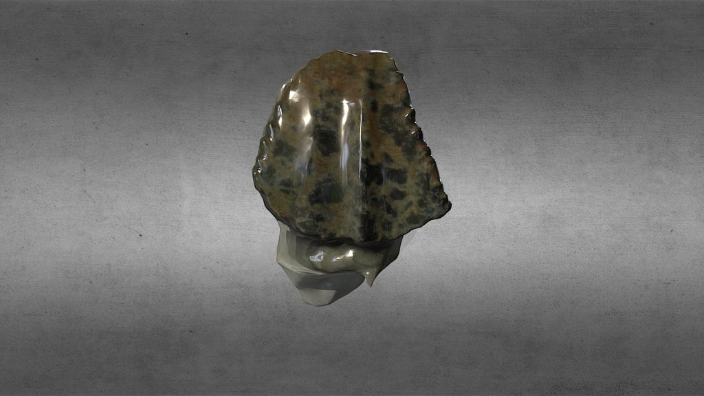 Iguanodontian tooth: cf. Batyrosaurus, texture - 3D model by ...