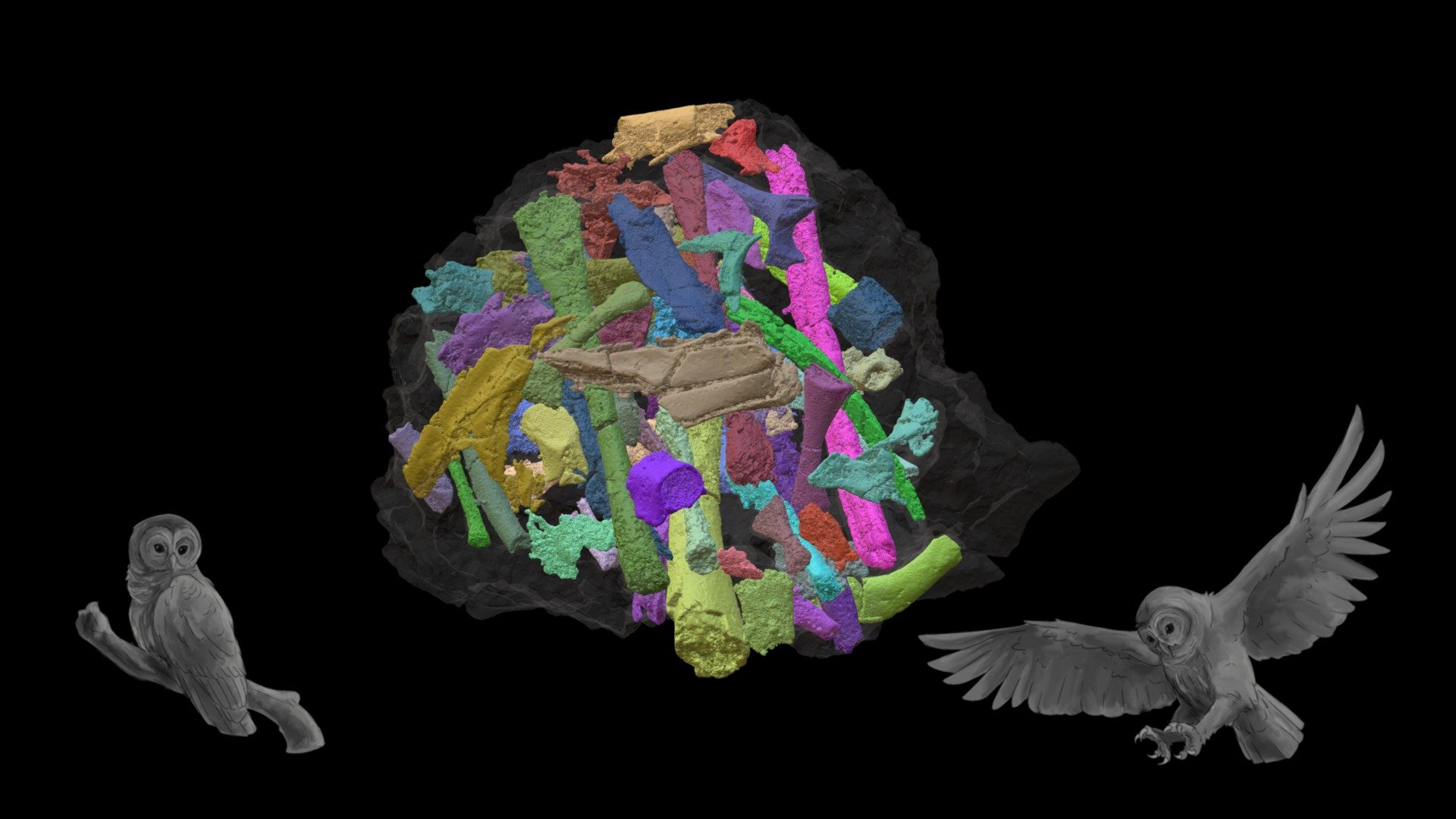 Coprolite - Unknown sp. (NMMNH:P:97436-A) - 3D model by Biodiversity ...