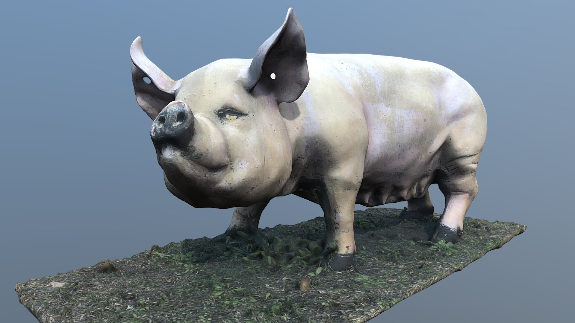 Some Pig (photogrammetry) - Download Free 3D model by Austin Beaulier ...