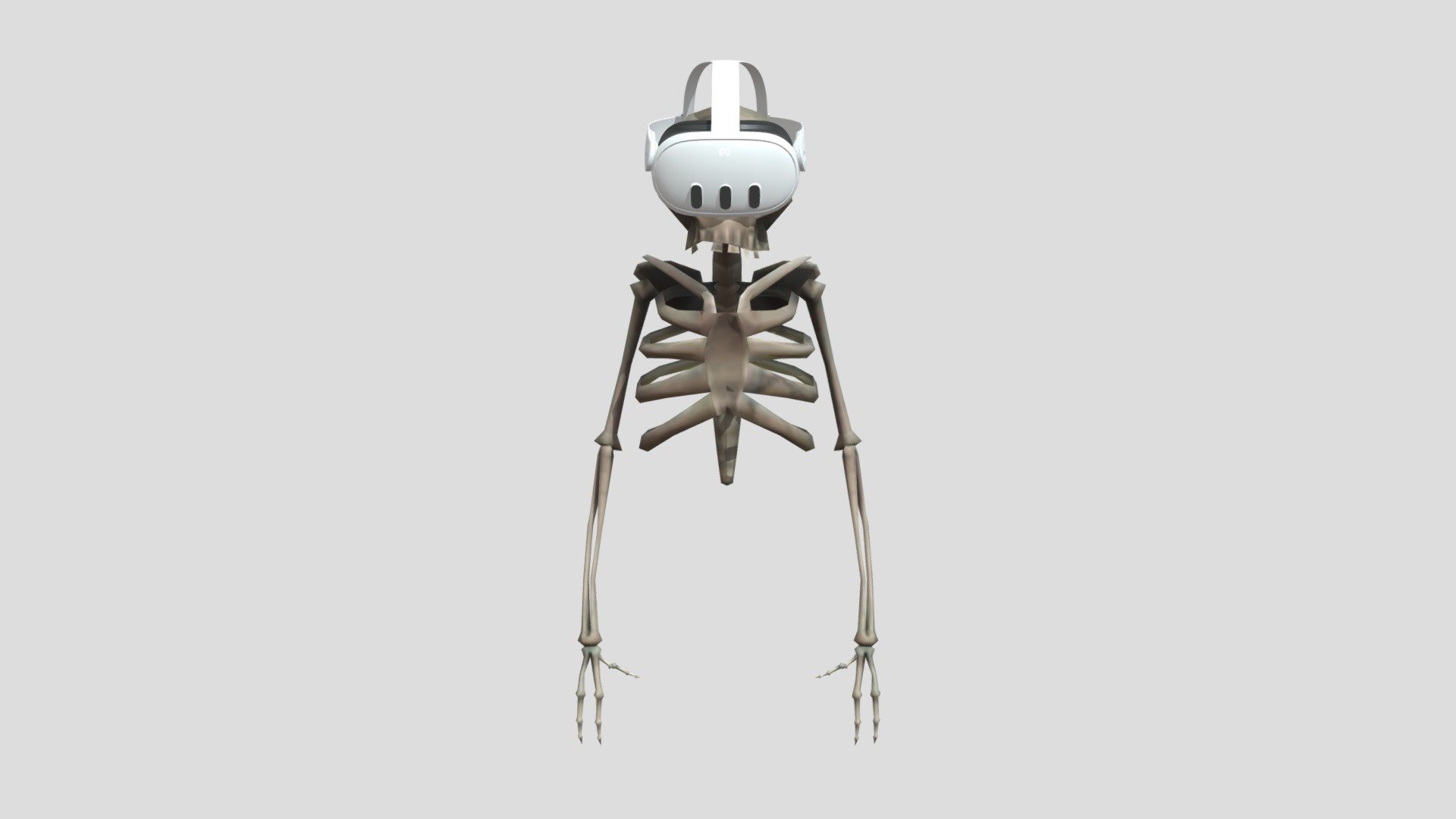 Skeleton VR - Download Free 3D model by asher12k (@ashsher12k) [3f40258 ...