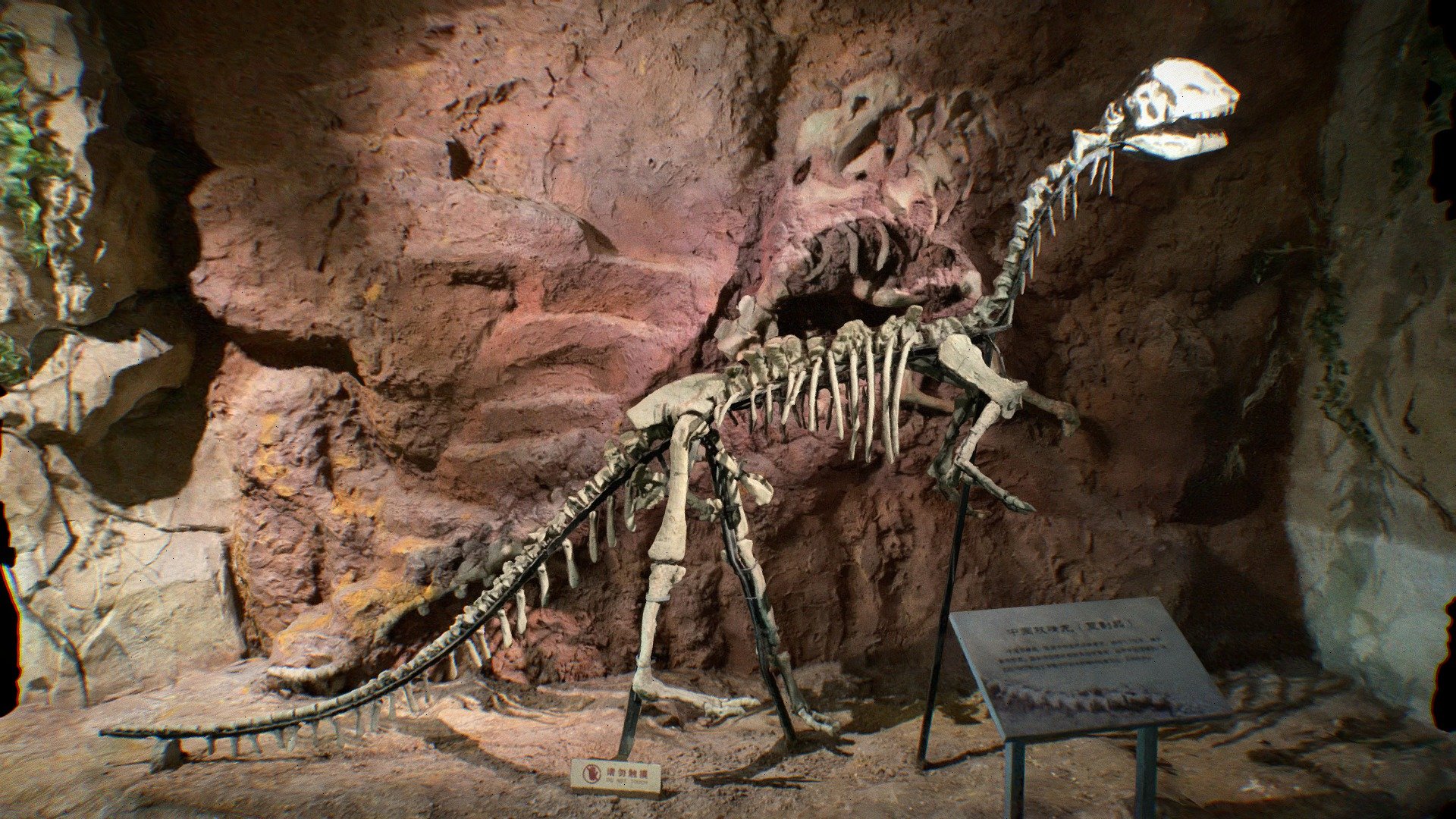 Sinosaurus sinensis skeleton mount - 3D model by Olof Moleman ...