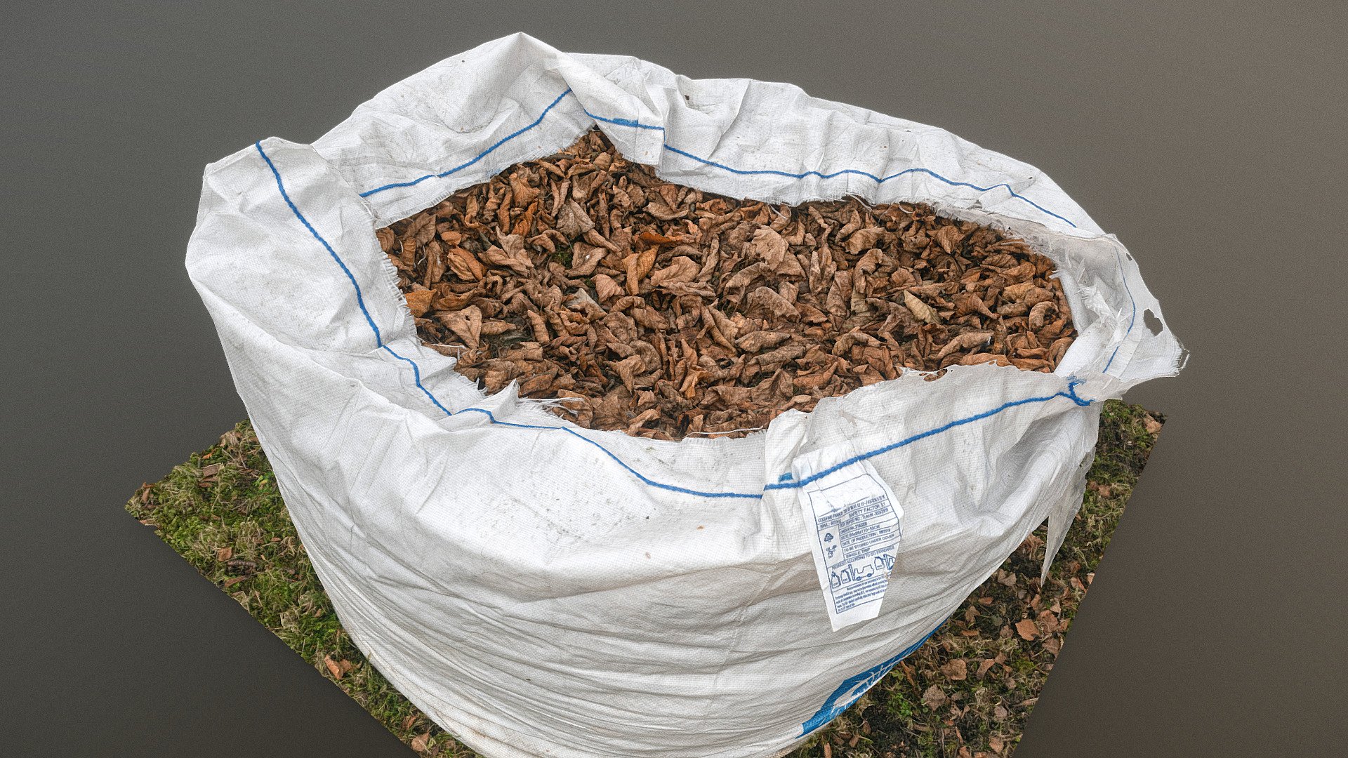 Gardening fallen leaf collection bag - 3D model by axonite [3f42b6b ...