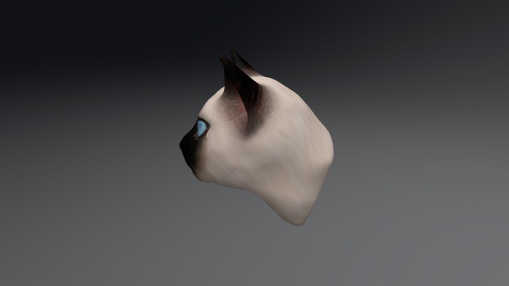 Cat - 3D model by hanano [3f46589] - Sketchfab