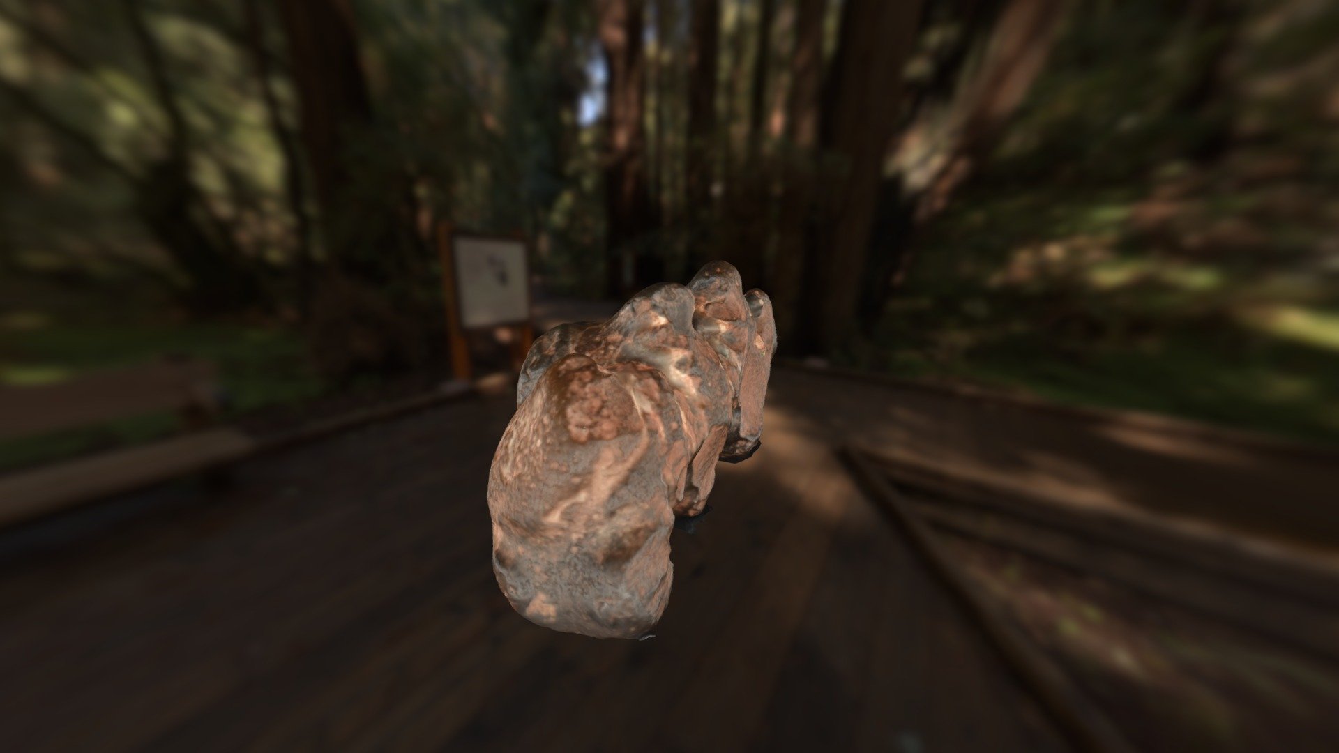 Photogrammetry Model - 3D model by BluAuraX [3f4706e] - Sketchfab