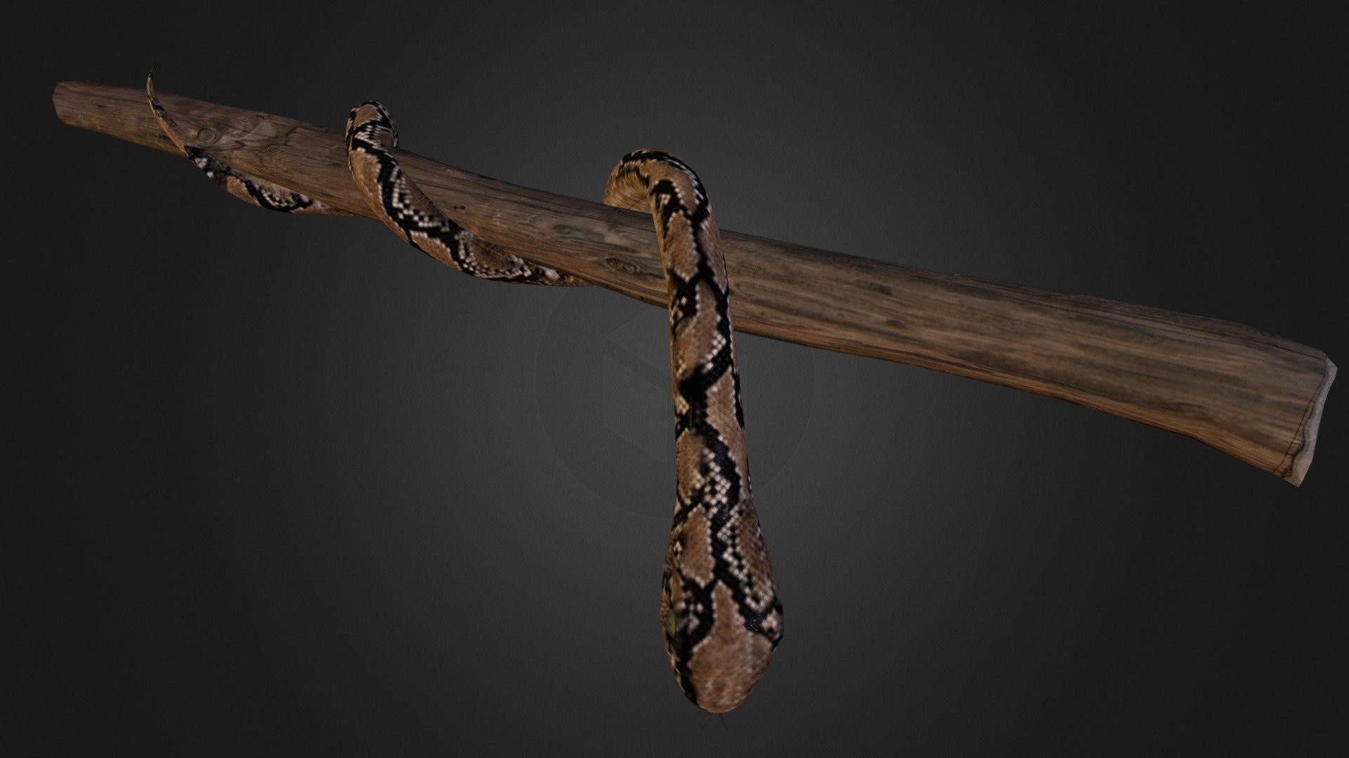 Snake - 3D model by polcuenca [3f4a60e] - Sketchfab