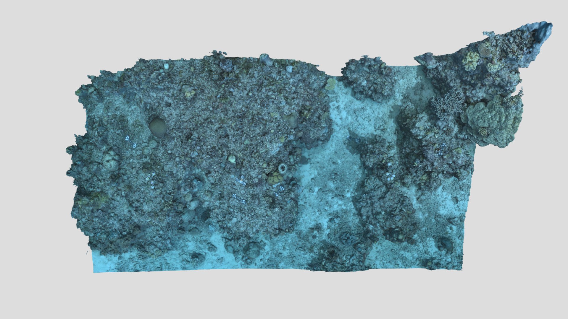 Davies_BA2D_P1_202301 - 3D model by EcoRRAP (@AIMSEcoRRAP) [3f4e0f2 ...