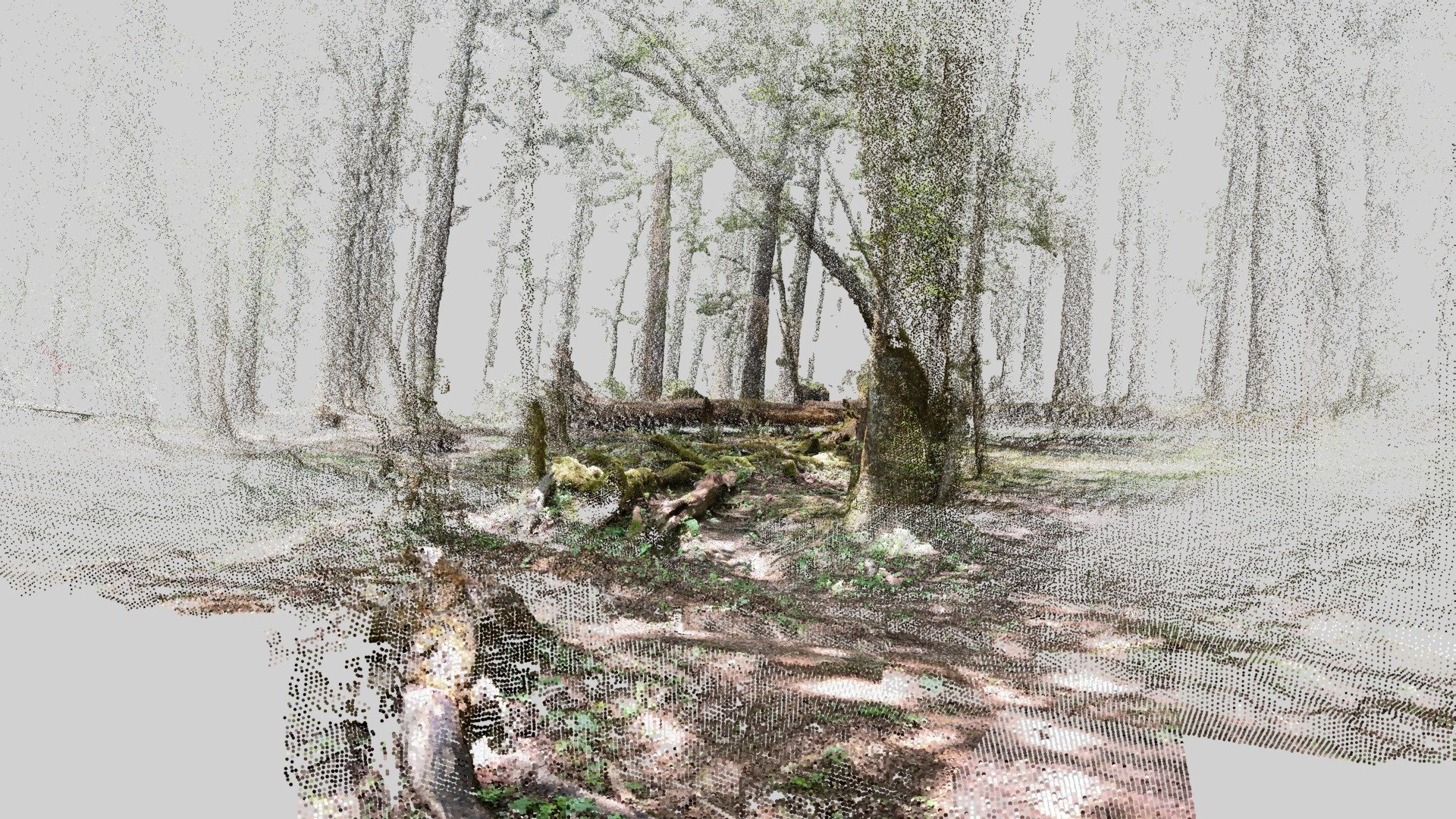 Trees05 -断枝-推进-♪♪♪♪ - 3D model by idenn [3f58eef] - Sketchfab