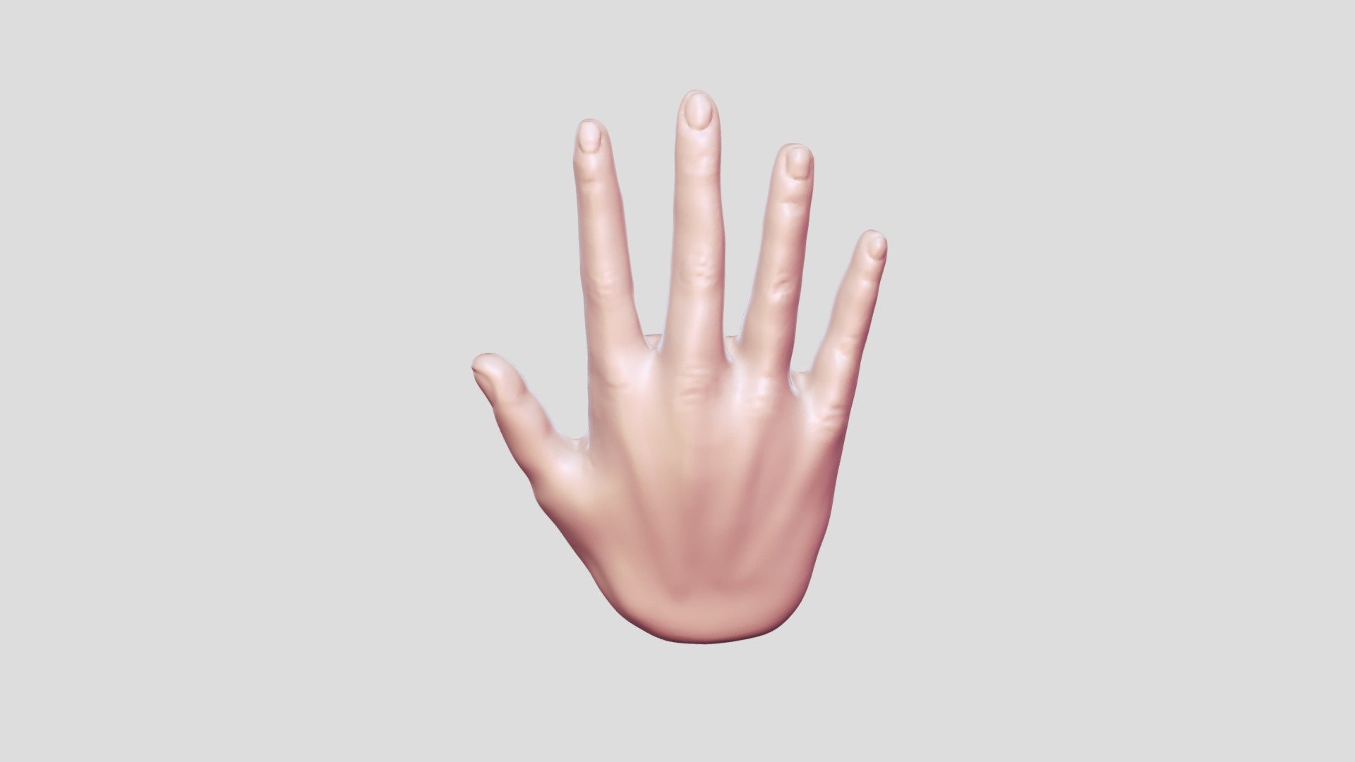 Hand anatomy practice - Download Free 3D model by Percy (@PercyLad ...