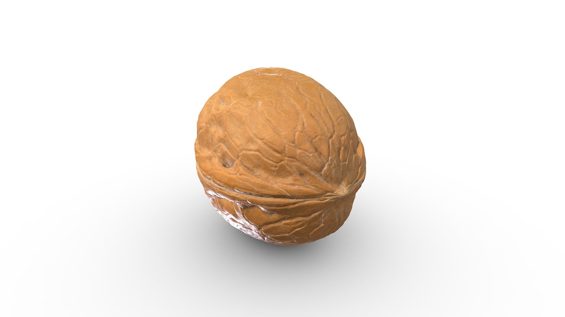 Walnut Shell - 3D model by RawCatalog.com (@rawcatalog) [3f5b950 ...