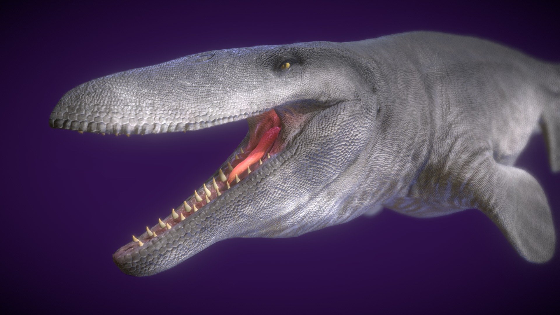 Tylosaurus - 3D model by robertfabiani [3f5cb47] - Sketchfab