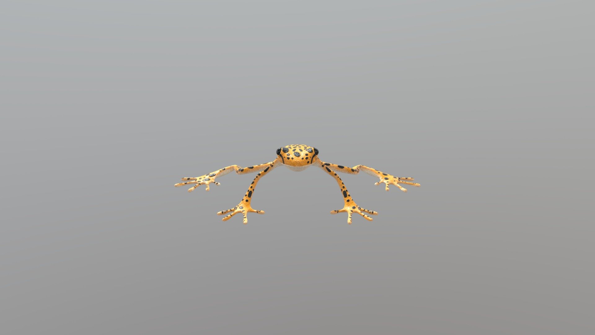 cheetos frog - 3D model by jesterman [3f5f1d3] - Sketchfab