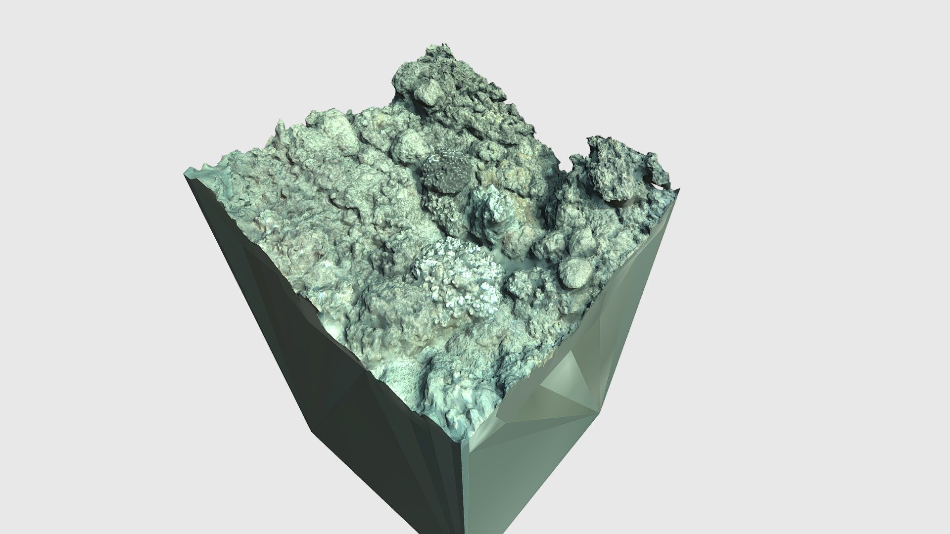 Ocean Floor 2 meters depth, Maui - Download Free 3D model by Reverse ...