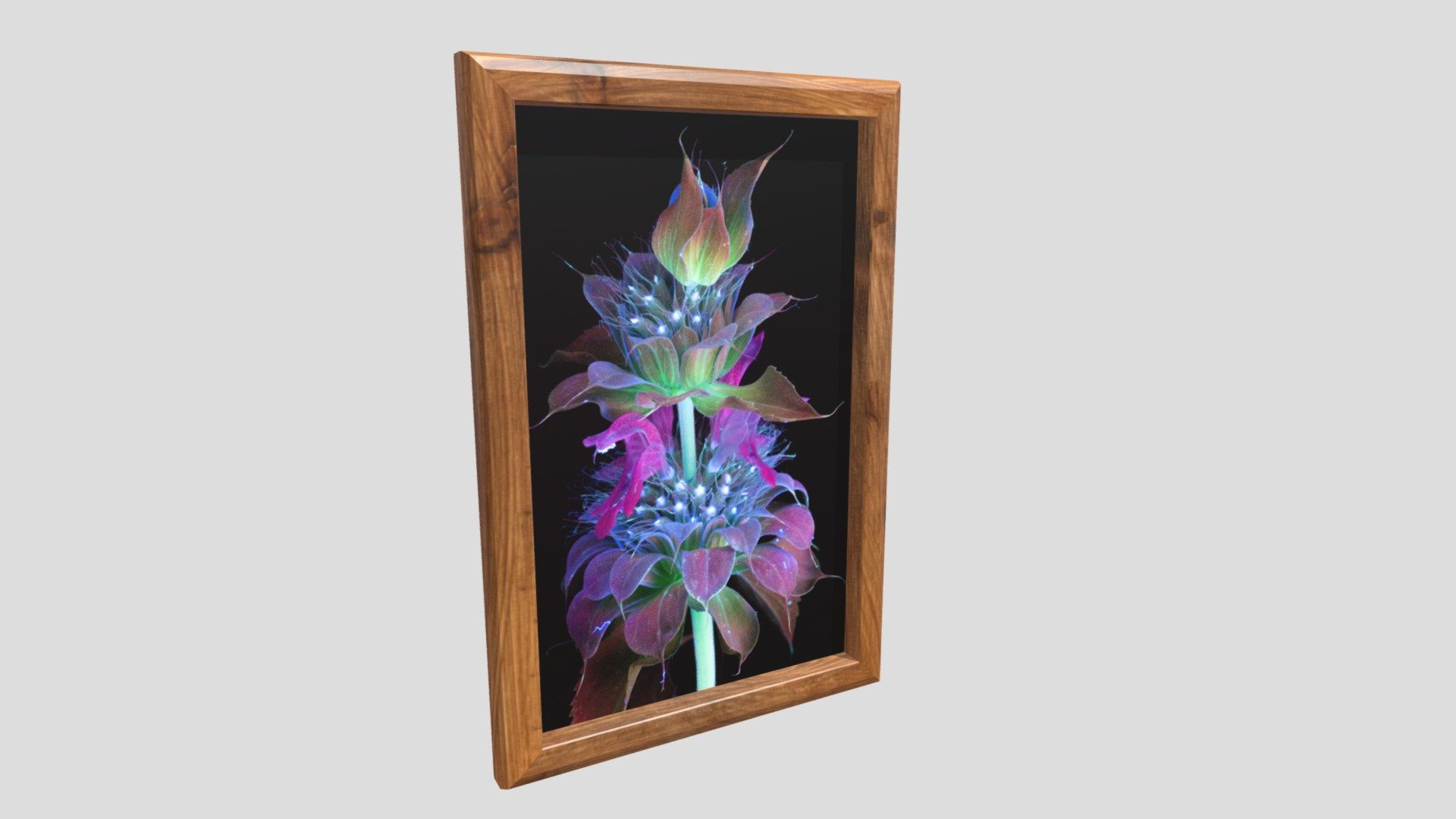 picframe - Download Free 3D model by orphic_oasis8 [3f7160e] - Sketchfab
