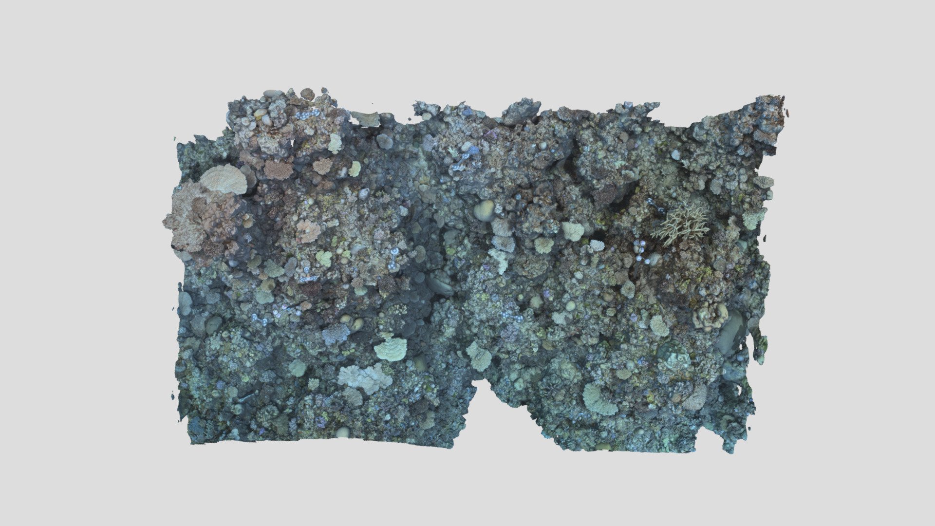 Davies_FL1S_P3_202201 - 3D model by EcoRRAP (@AIMSEcoRRAP) [3f74dce ...