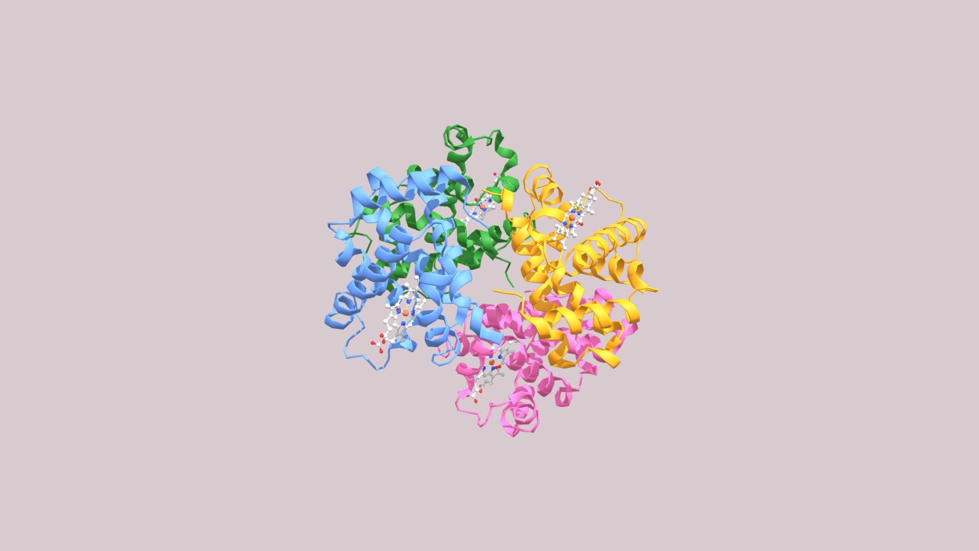 Oxy- Haemoglobin Molecular Structure (LR) - Download Free 3D model by S ...