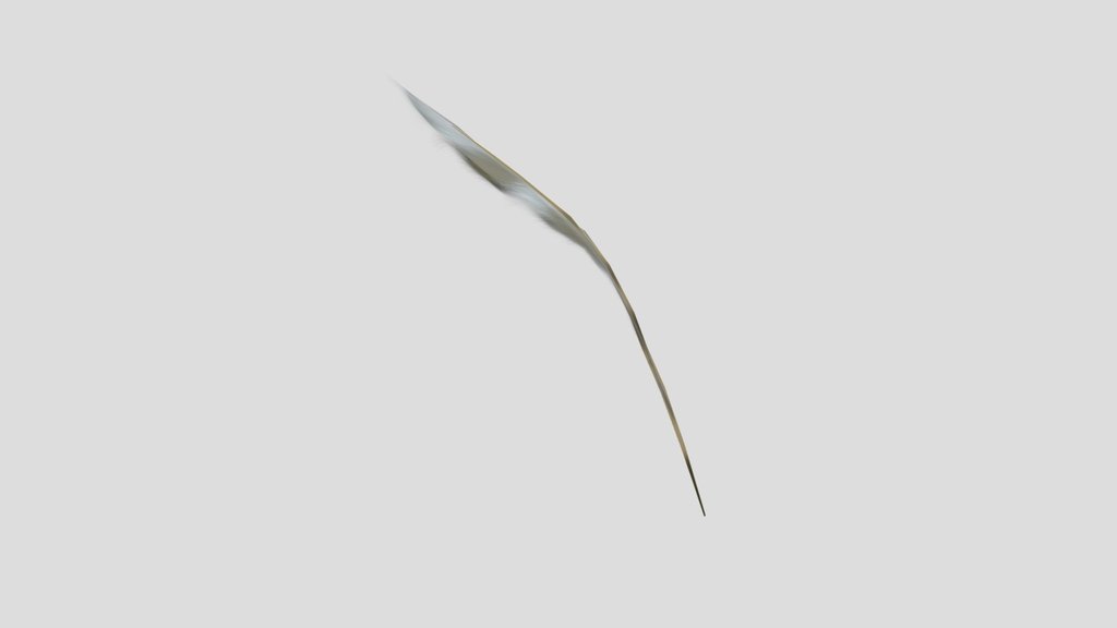 FEATHER - A 3D model collection by RenderPulsar (@RandomUnivers ...